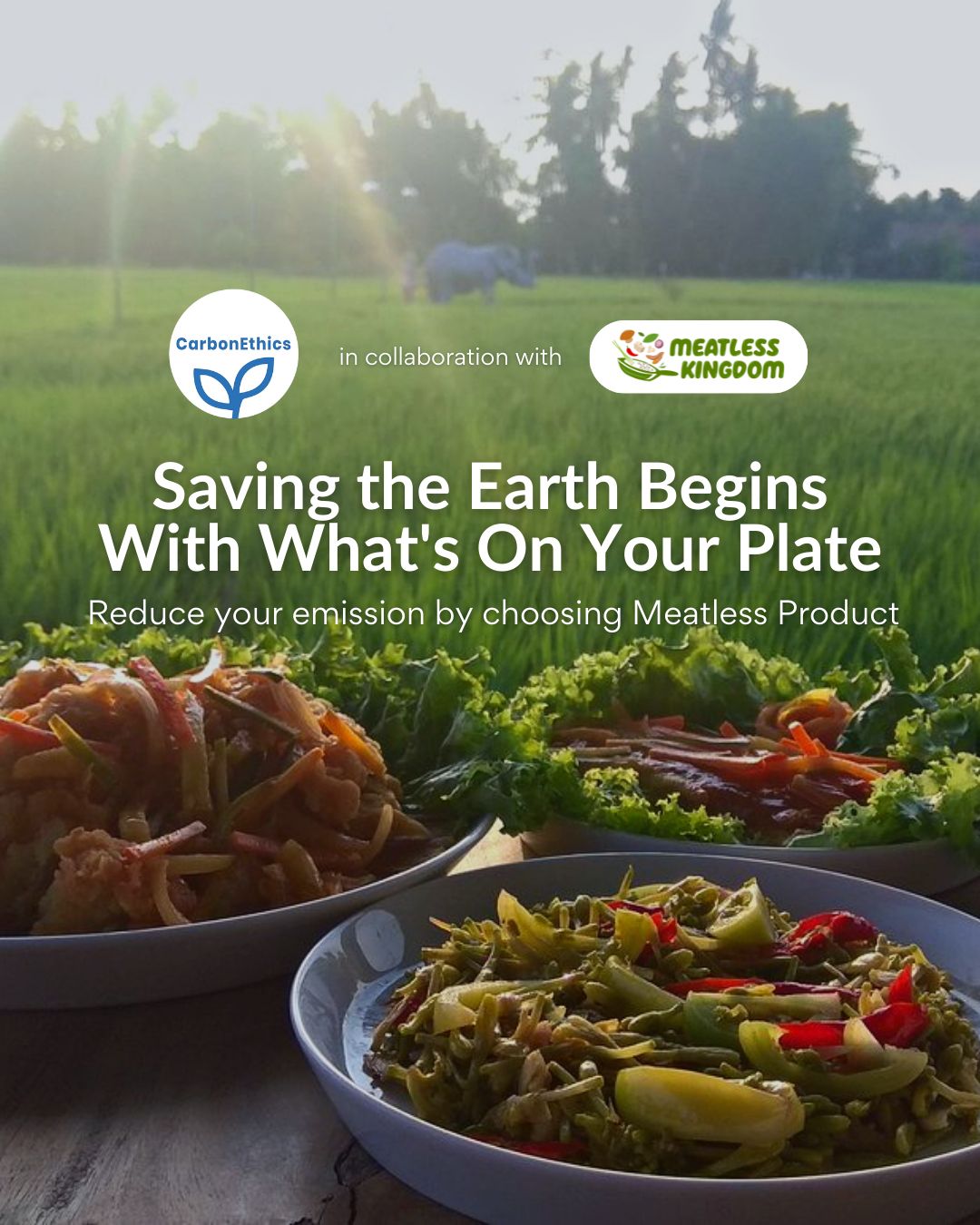 Carbonethics X Meatless, Innovative Colaboration for a Better Future ...